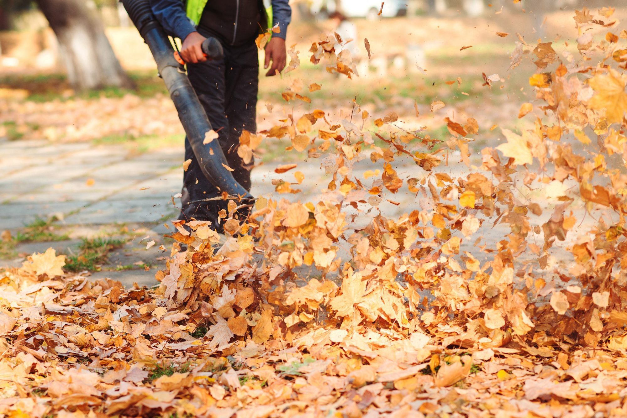 Fall Curb Appeal Tips for Your Business - SJ Services